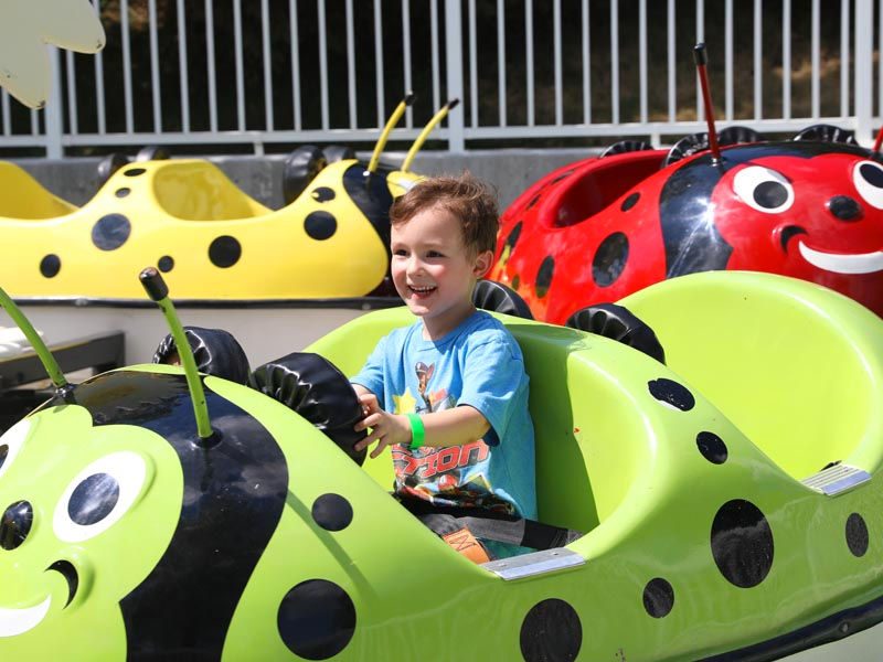 Climb Aboard the Lady Bugs | Adventureland Resort