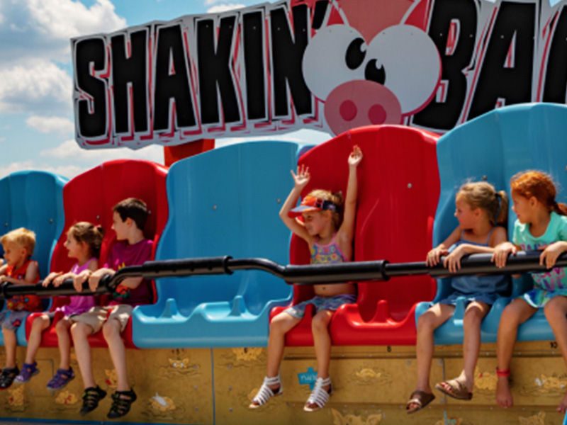 Shakin' Bacon Ride | Adventureland Resort